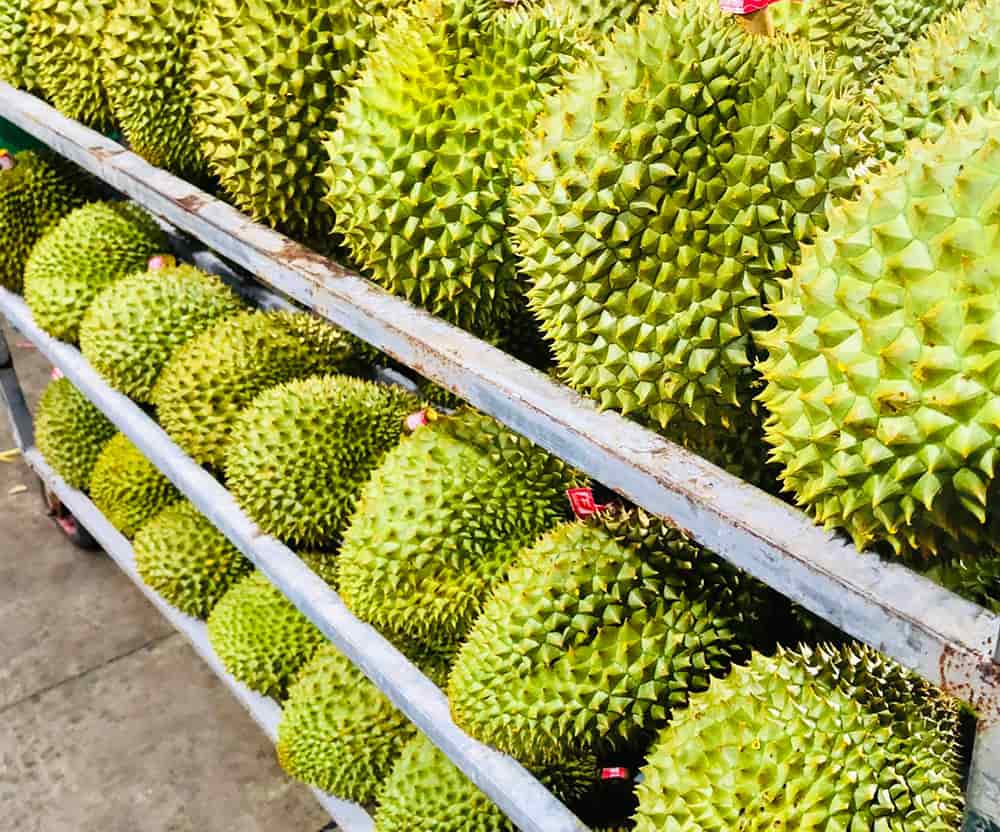 Cơ sở đóng gói sầu riêng: Các yêu cầu trong kiểm tra trực tuyến của ...